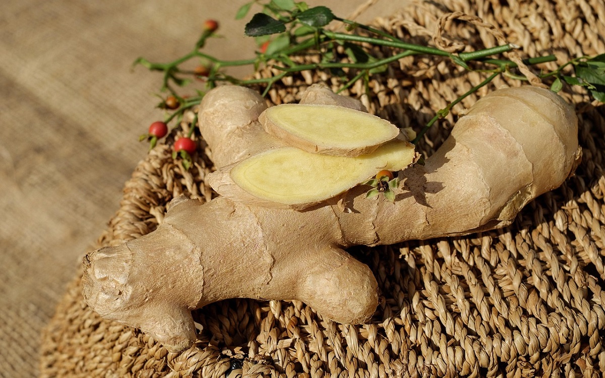 Jengibre: El Remedio Natural para Múltiples Afecciones - Remedios activos